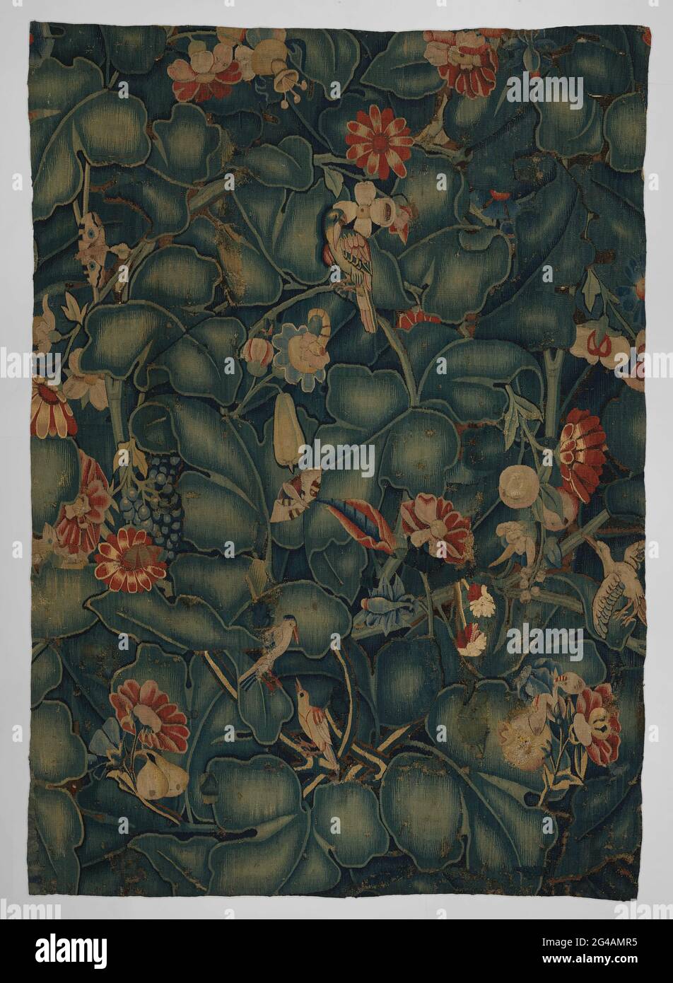 Large-leaved verduce with flowers, fruit, birds and butterflies ...