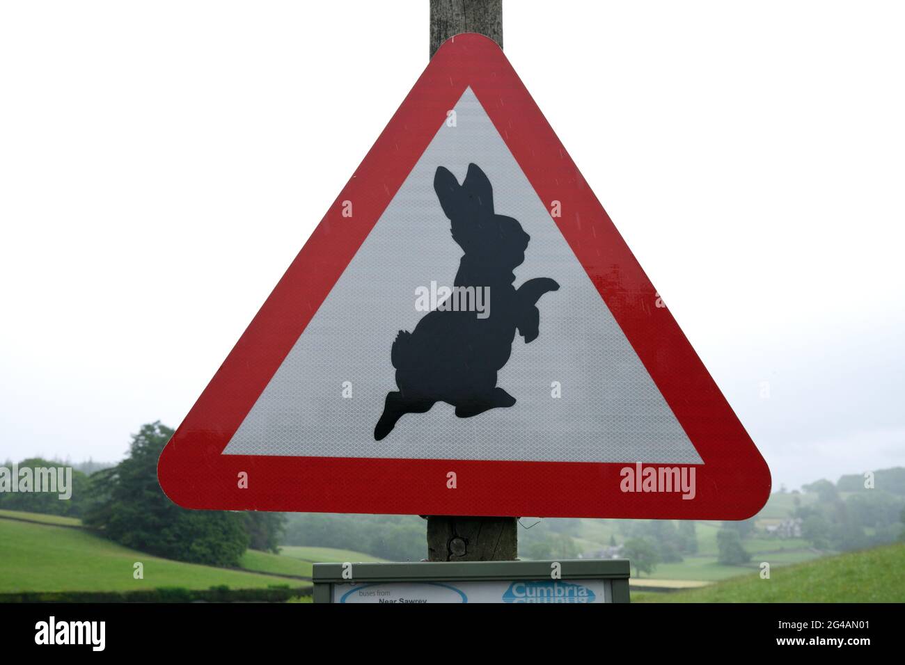 Warning Road Sign Depicting Peter Rabbit Outside Beatrix Potters Hill ...