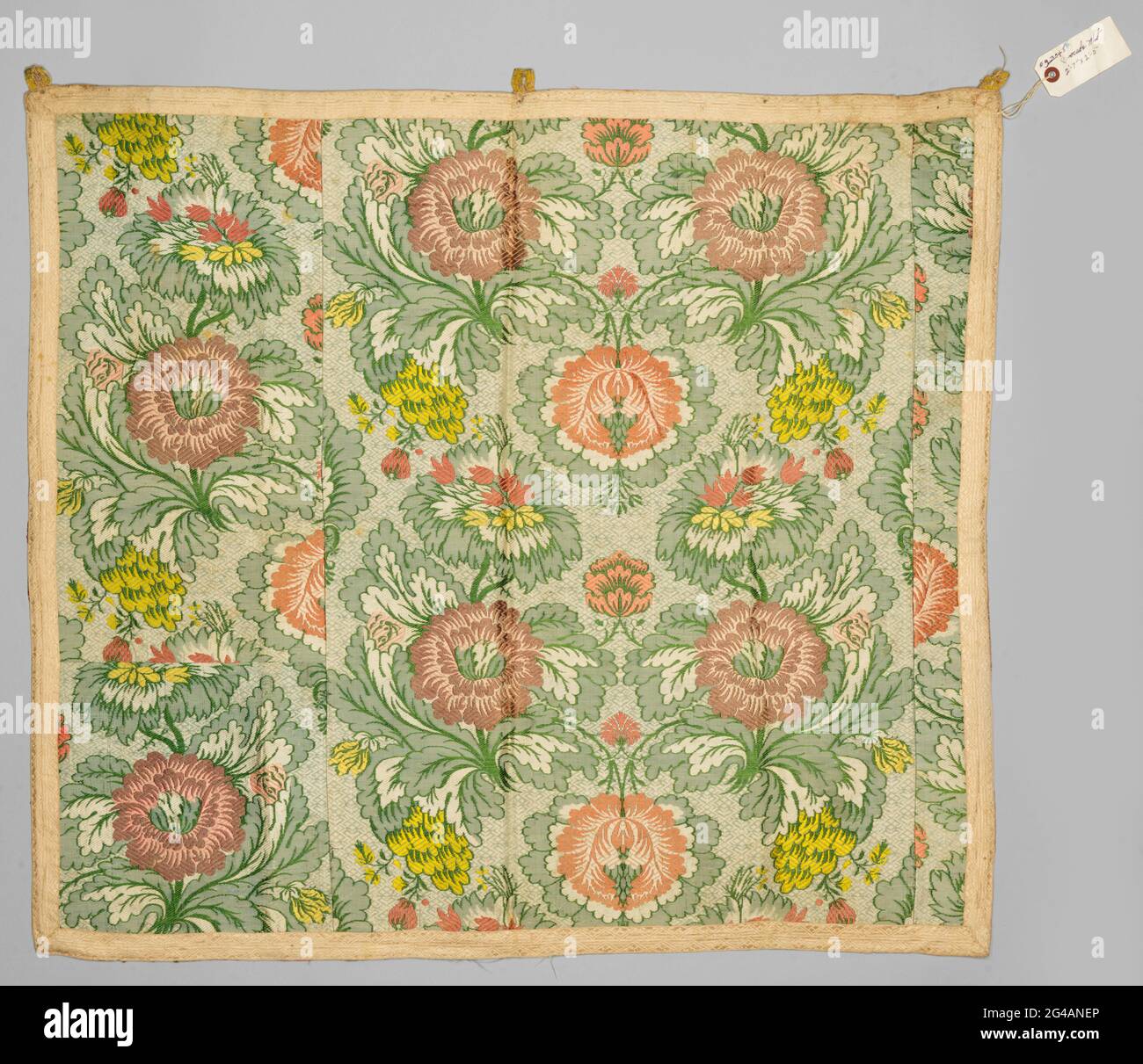 Ditto Leaves High Resolution Stock Photography and Images - Alamy