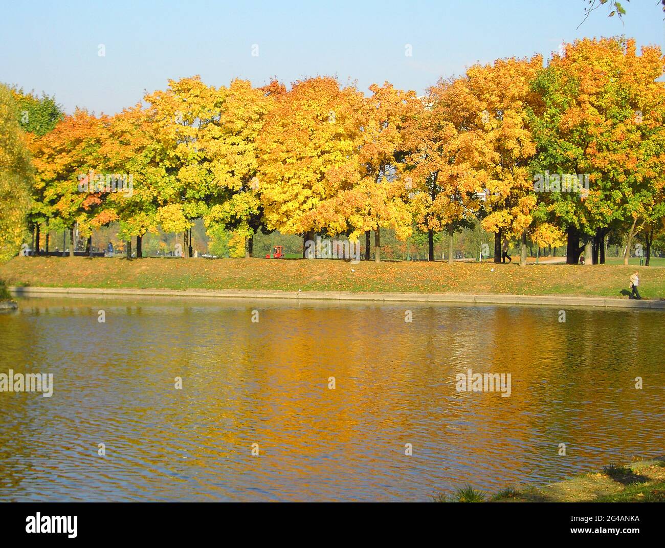 autumn in city park at october Stock Photo - Alamy
