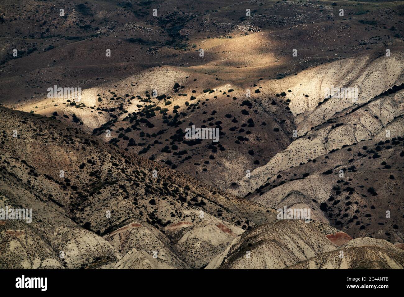 Beautiful natural pattern hi-res stock photography and images - Alamy