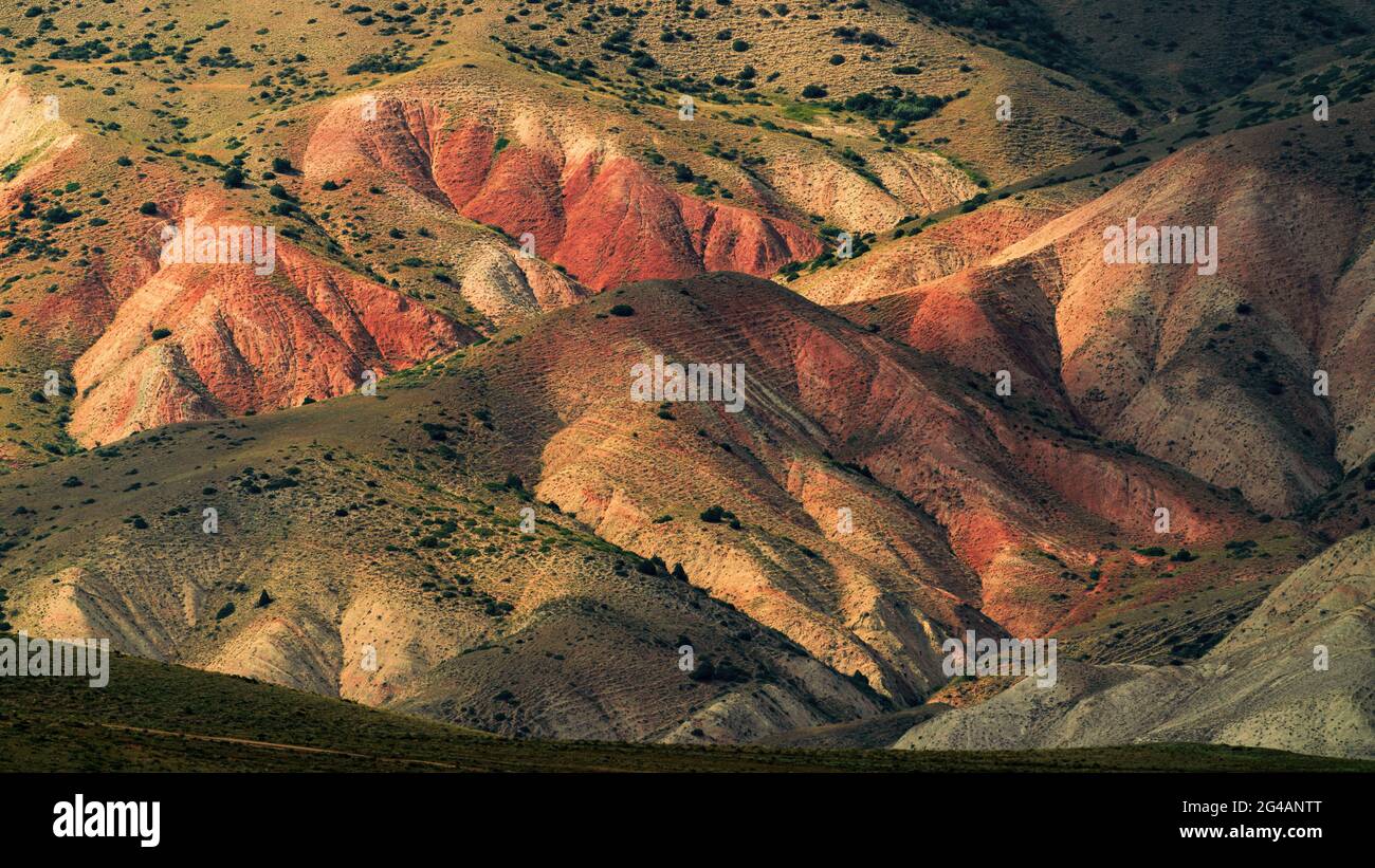 Beautiful natural pattern hi-res stock photography and images - Alamy