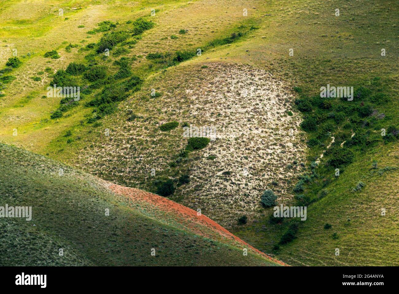 Beautiful natural pattern hi-res stock photography and images - Alamy