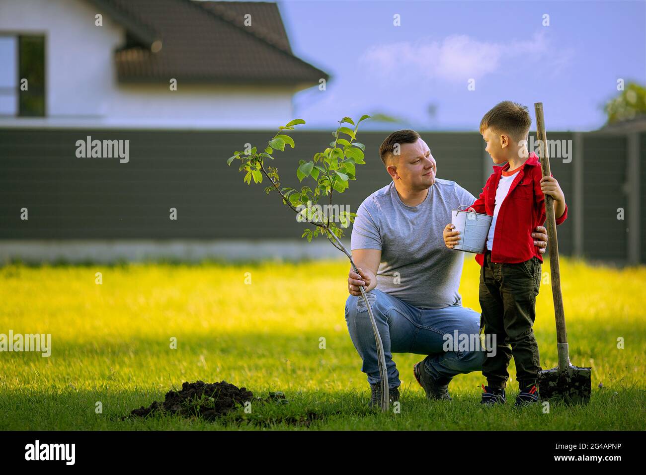 side view father looking how son planting tree with shovel at front of ...