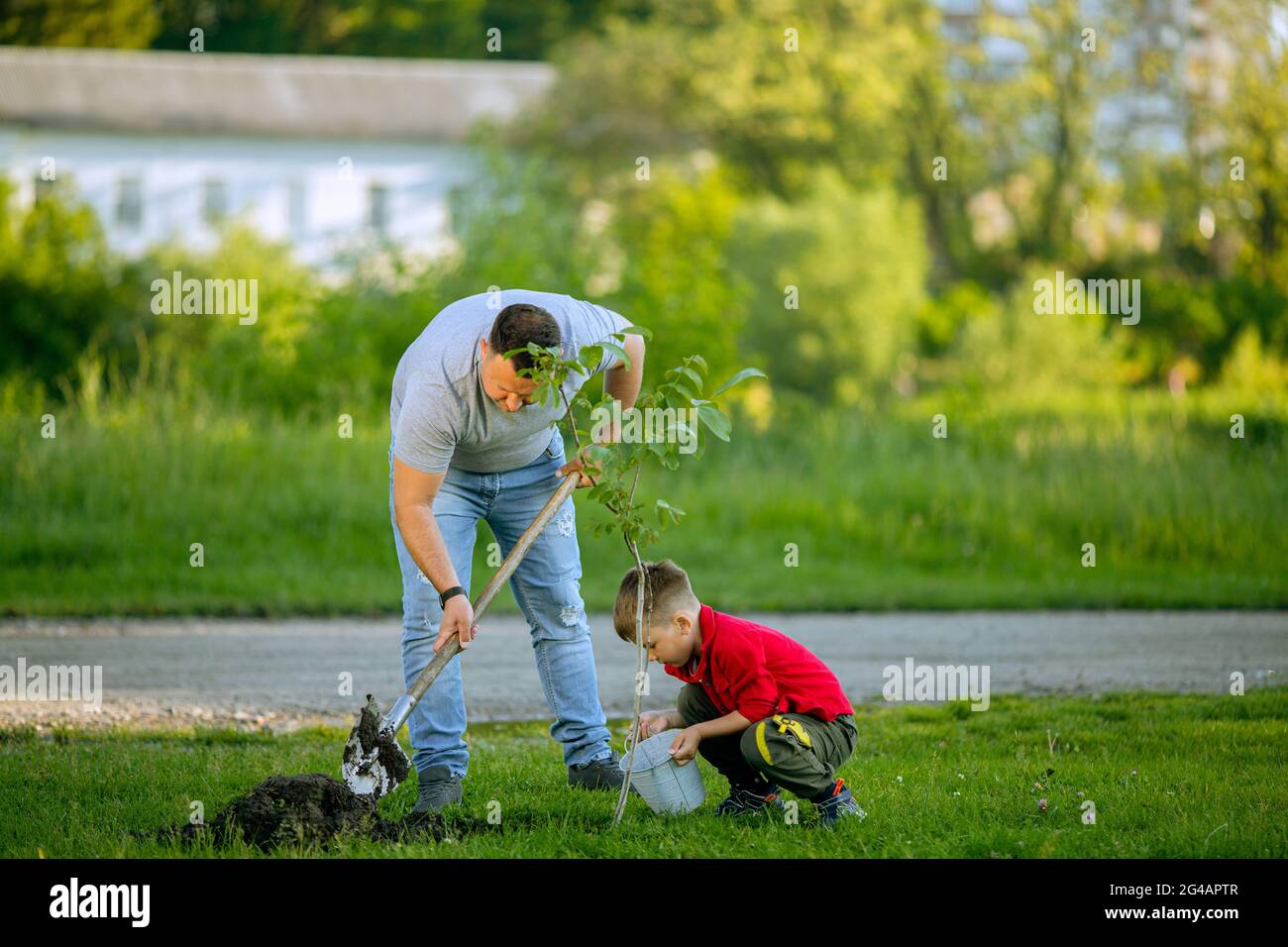side view father looking how son planting tree with shovel at front of ...
