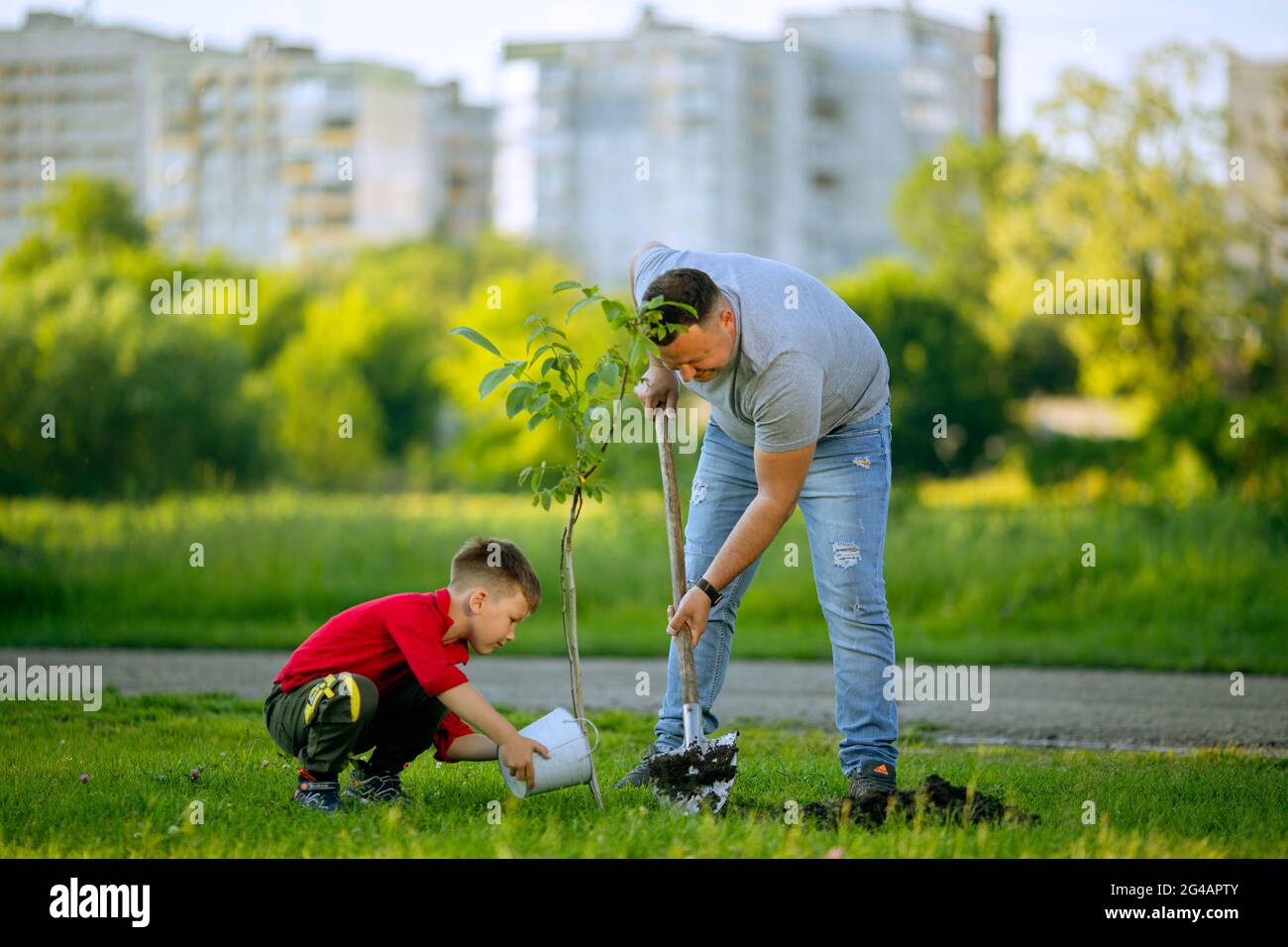 side view father looking how son planting tree with shovel at front of ...