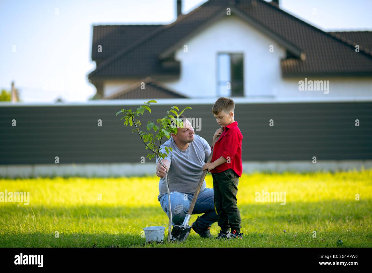 side view father looking how son planting tree with shovel at front of ...