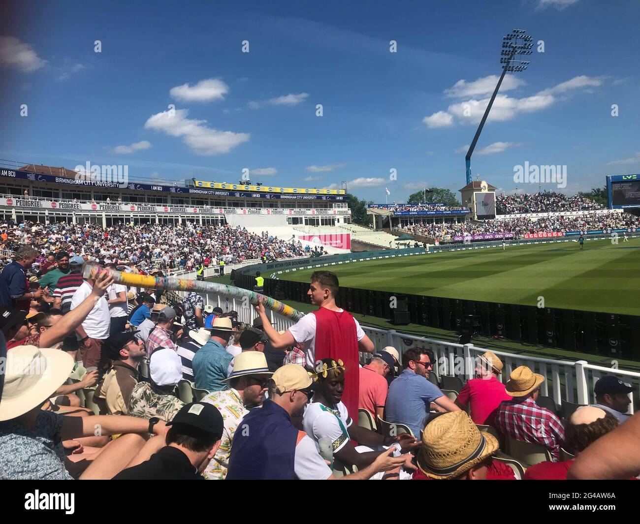 Plastic cup snake hi-res stock photography and images - Alamy