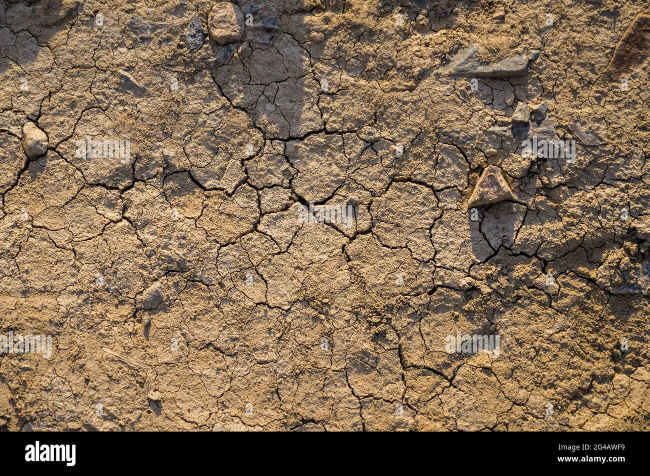 Mud (dried clay) as natural background Stock Photo - Alamy