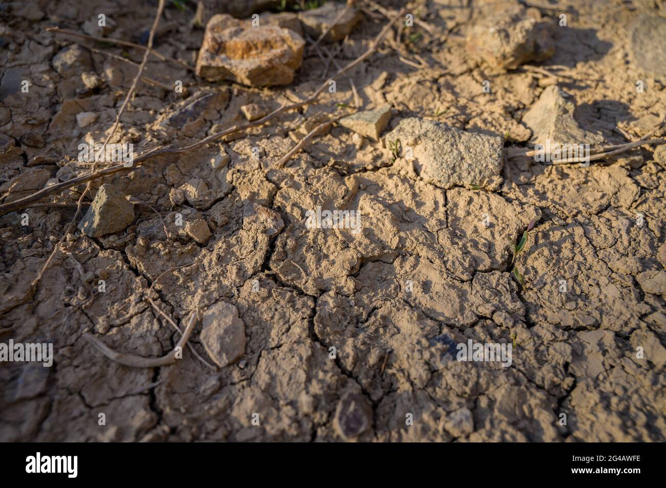 Mud (dried clay) as natural background Stock Photo - Alamy
