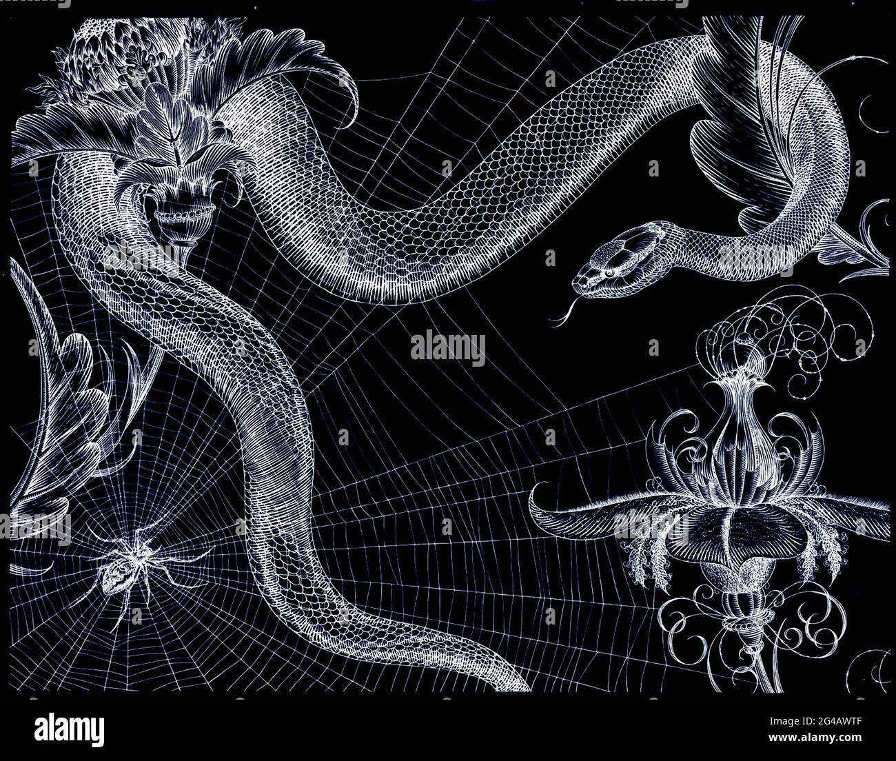 Colour Inversion Artwork High Resolution Stock Photography and Images ...