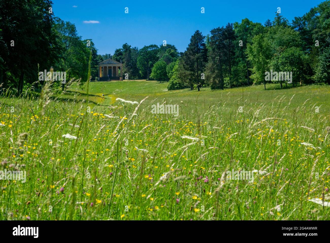 Wild flower meadow Stowe Stock Photo - Alamy