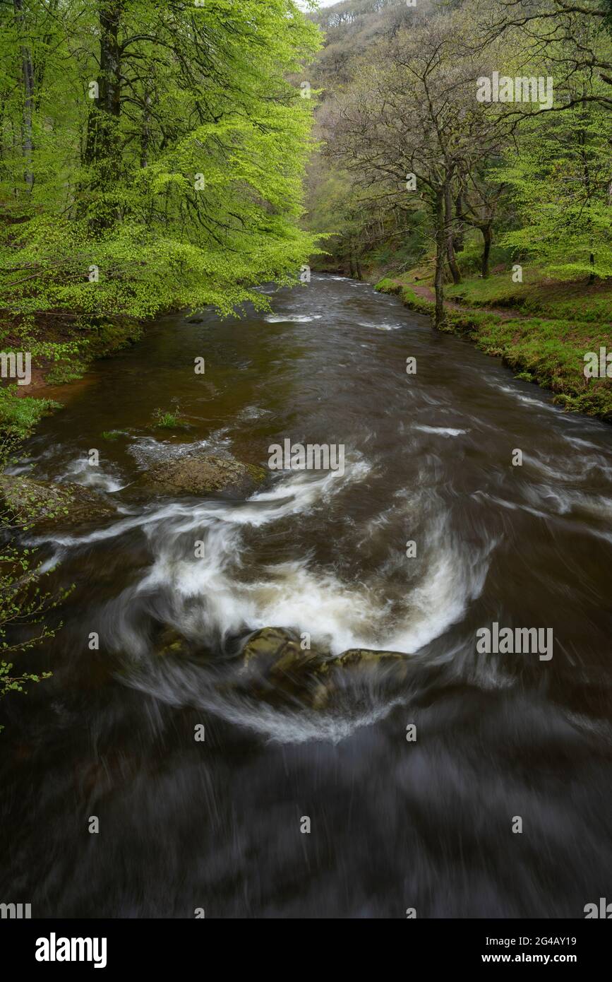 Beautiful Spring landscape image of Watrersmeet in Devon England where ...