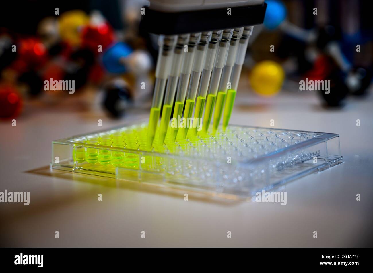 96 well hi-res stock photography and images - Alamy