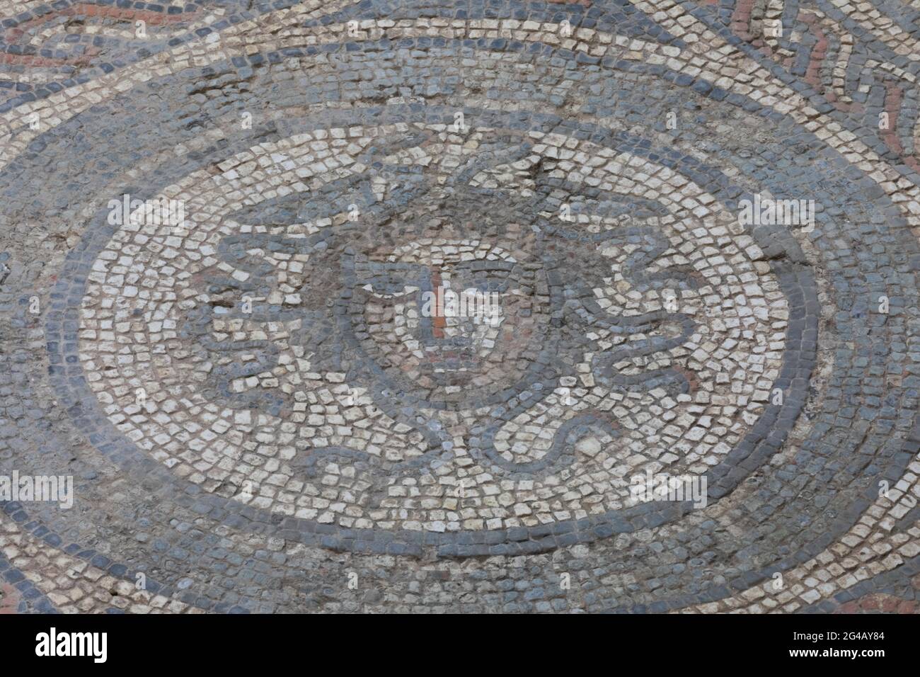 Roman mosaic medusa hi-res stock photography and images - Alamy