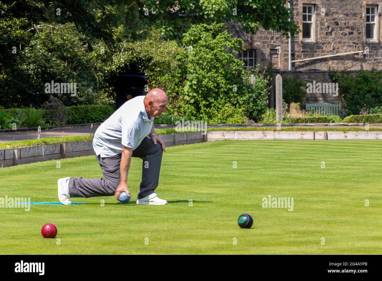 man bowls in local match of lawn bowls on the green in Hexham ...