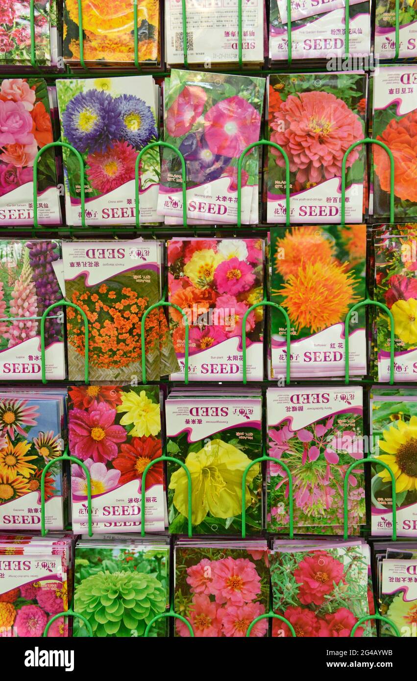 Packets of flower seeds on display at a horticultural exhibition and ...