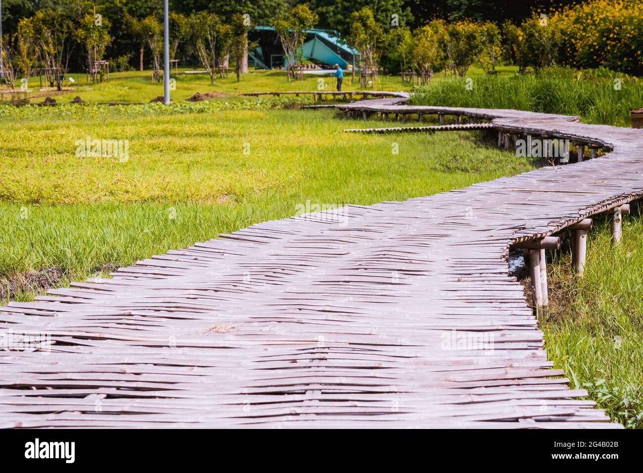Curved long empty wooden hi-res stock photography and images - Alamy