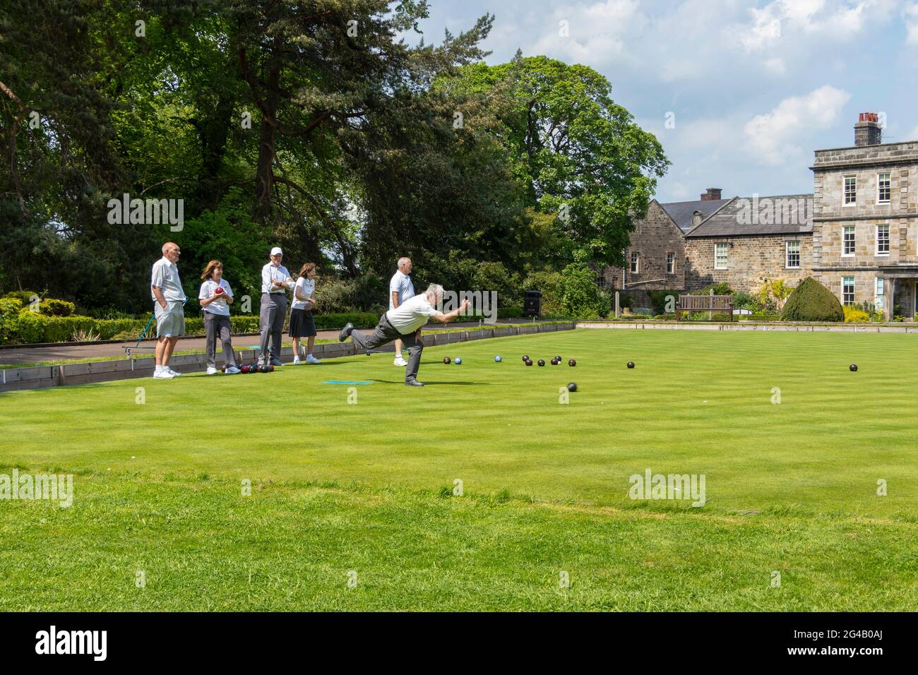 man bowls in local match of lawn bowls on the green in Hexham ...