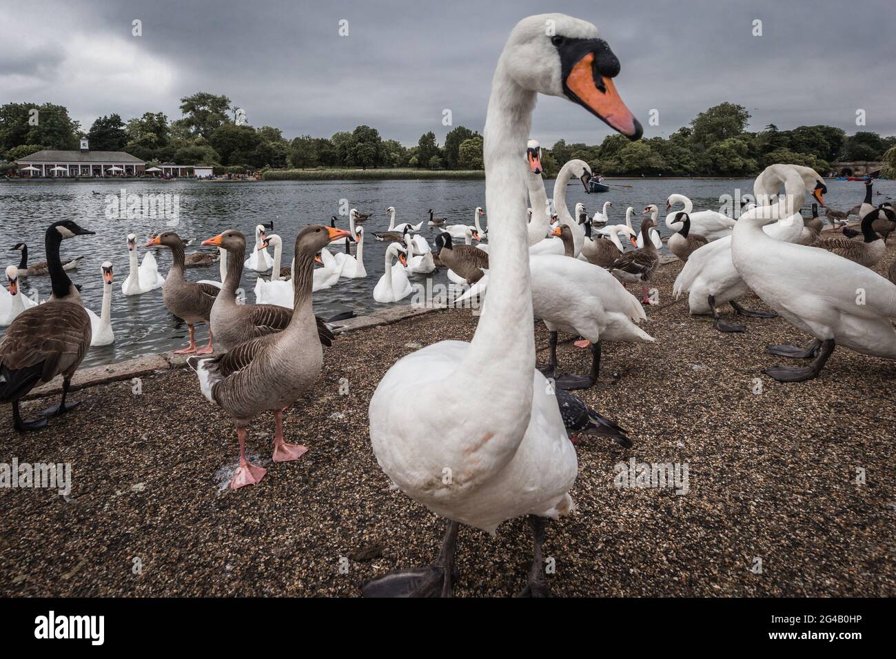 Take time out beauty hi-res stock photography and images - Alamy