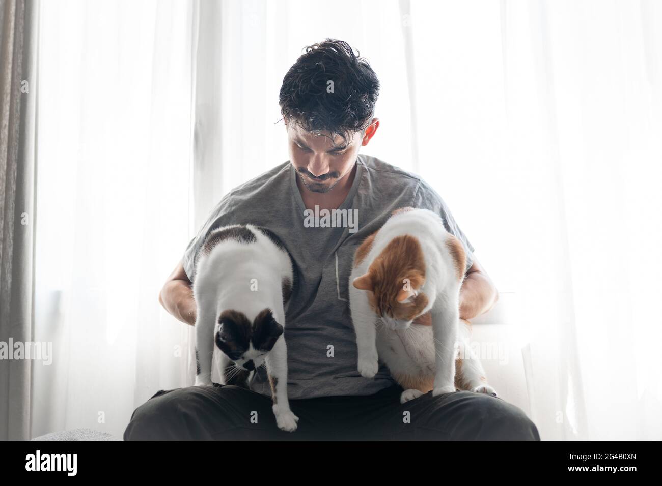 young man sitting in front of the window, hugs two domestic cats Stock ...