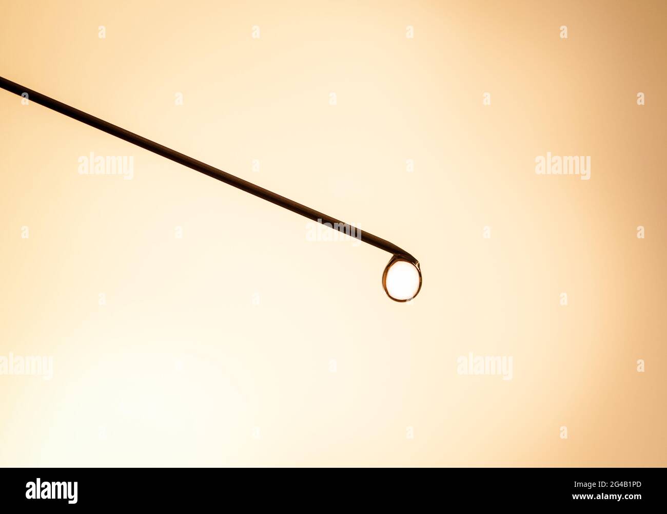 Close up image syringe needle hi-res stock photography and images - Alamy