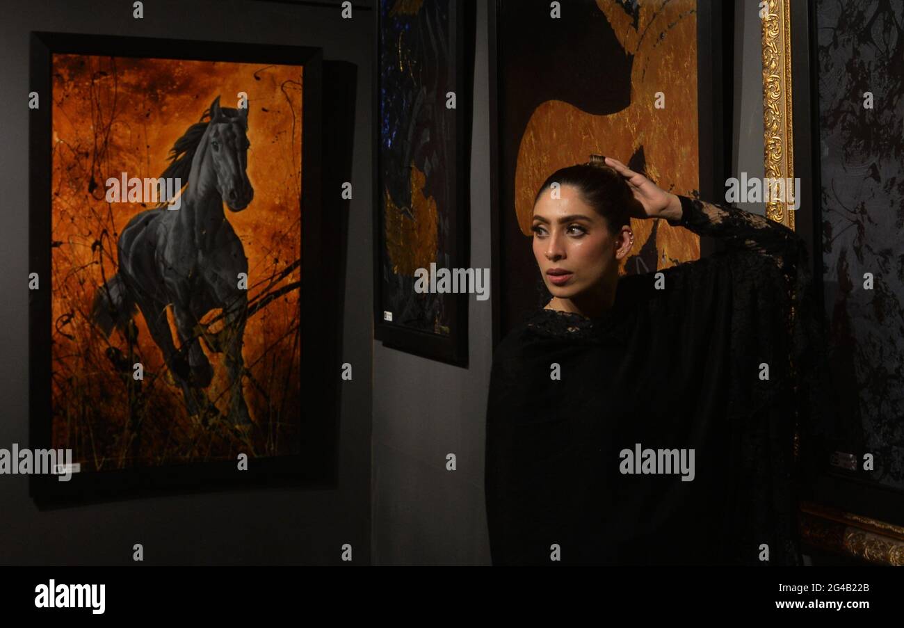 Pakistani visual artist Amna Butt gives tour to guests of her visual ...