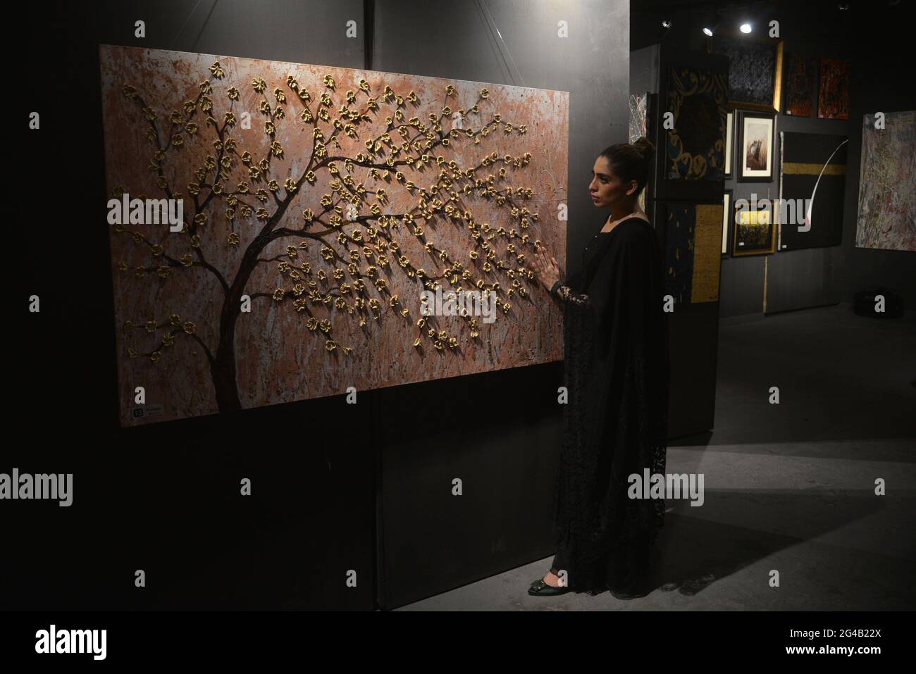 Pakistani visual artist Amna Butt gives tour to guests of her visual ...