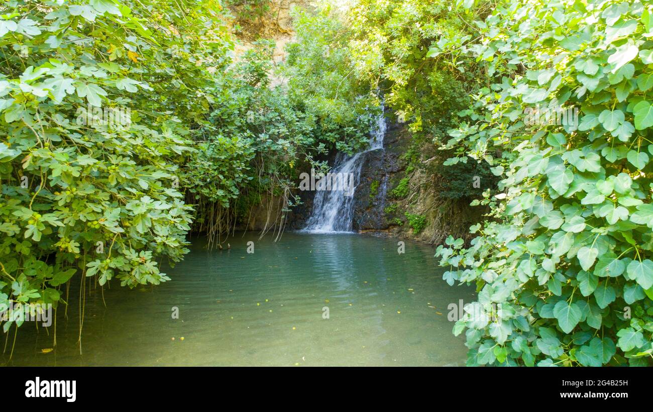 Aerial Photography of the Banias Stream (Banias River or Hermon River ...