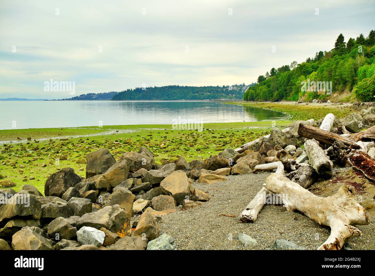 Saltwater spring hi-res stock photography and images - Alamy