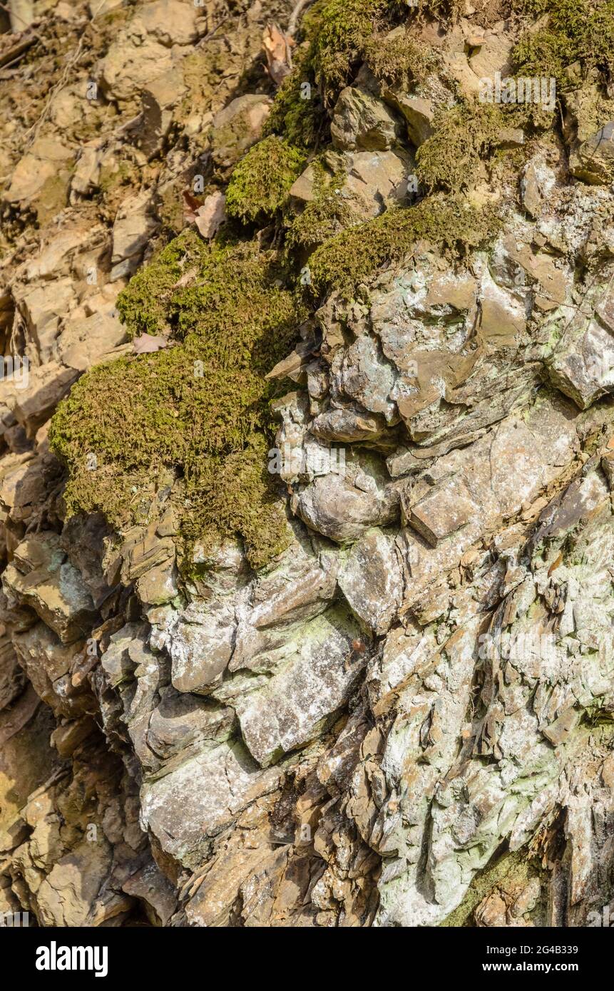 Moss and rock backdrop hi-res stock photography and images - Alamy