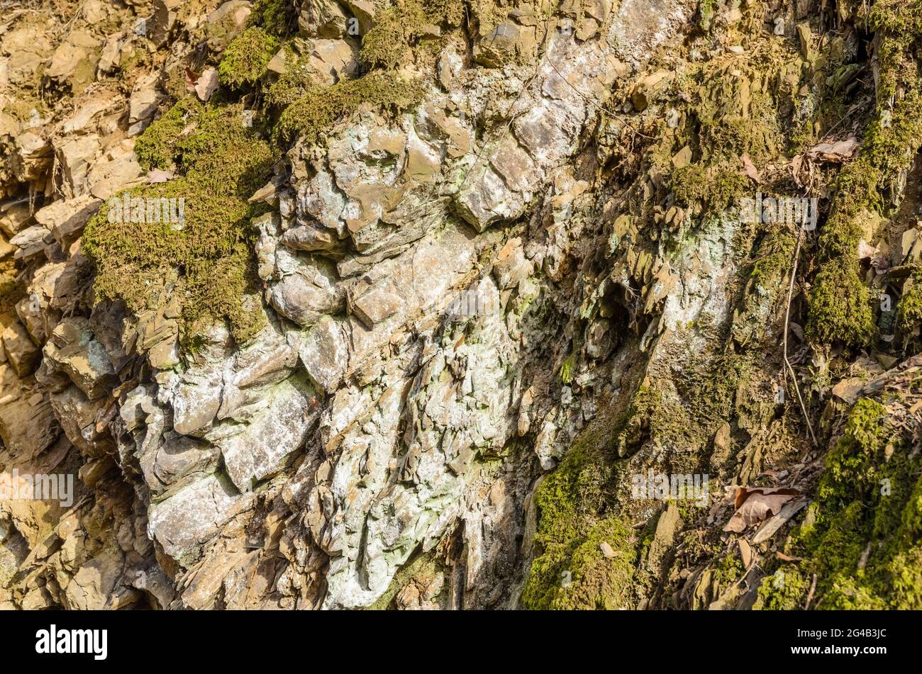 Moss on rock surface hi-res stock photography and images - Alamy