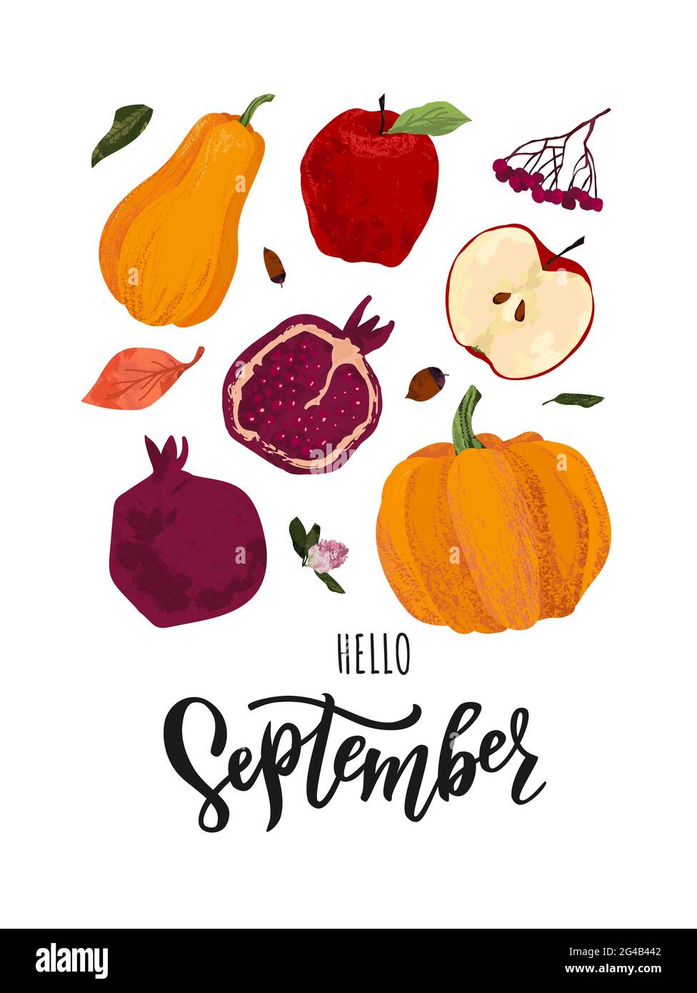 Fresh pumpkin food leaves Stock Vector Images - Alamy