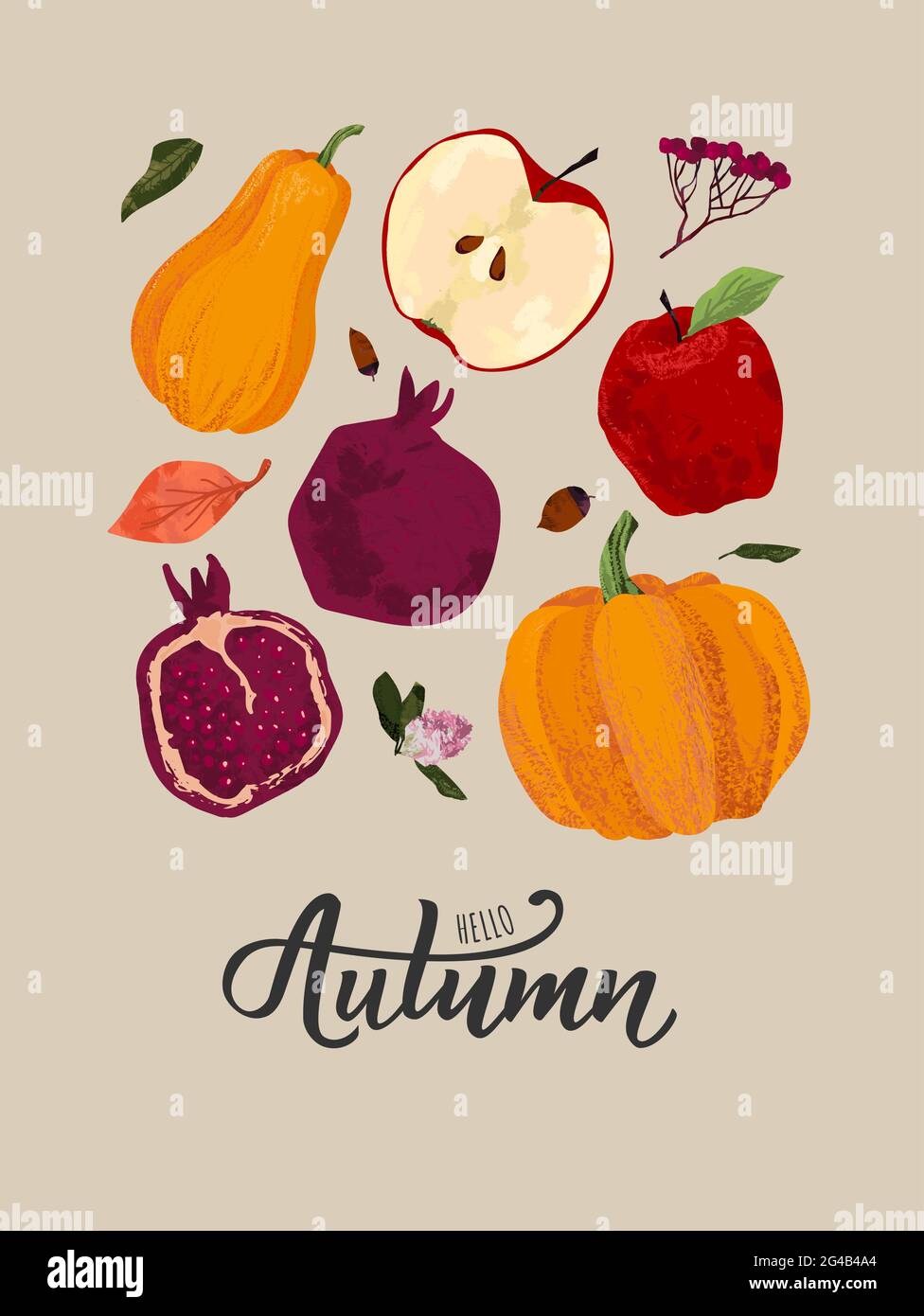 Set autumn leaves acorns Stock Vector Images - Alamy