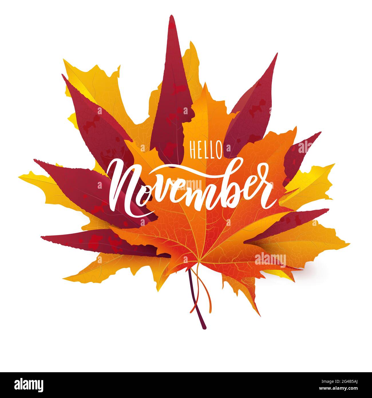 November text. Hand lettering typography with bright autumn leaves ...