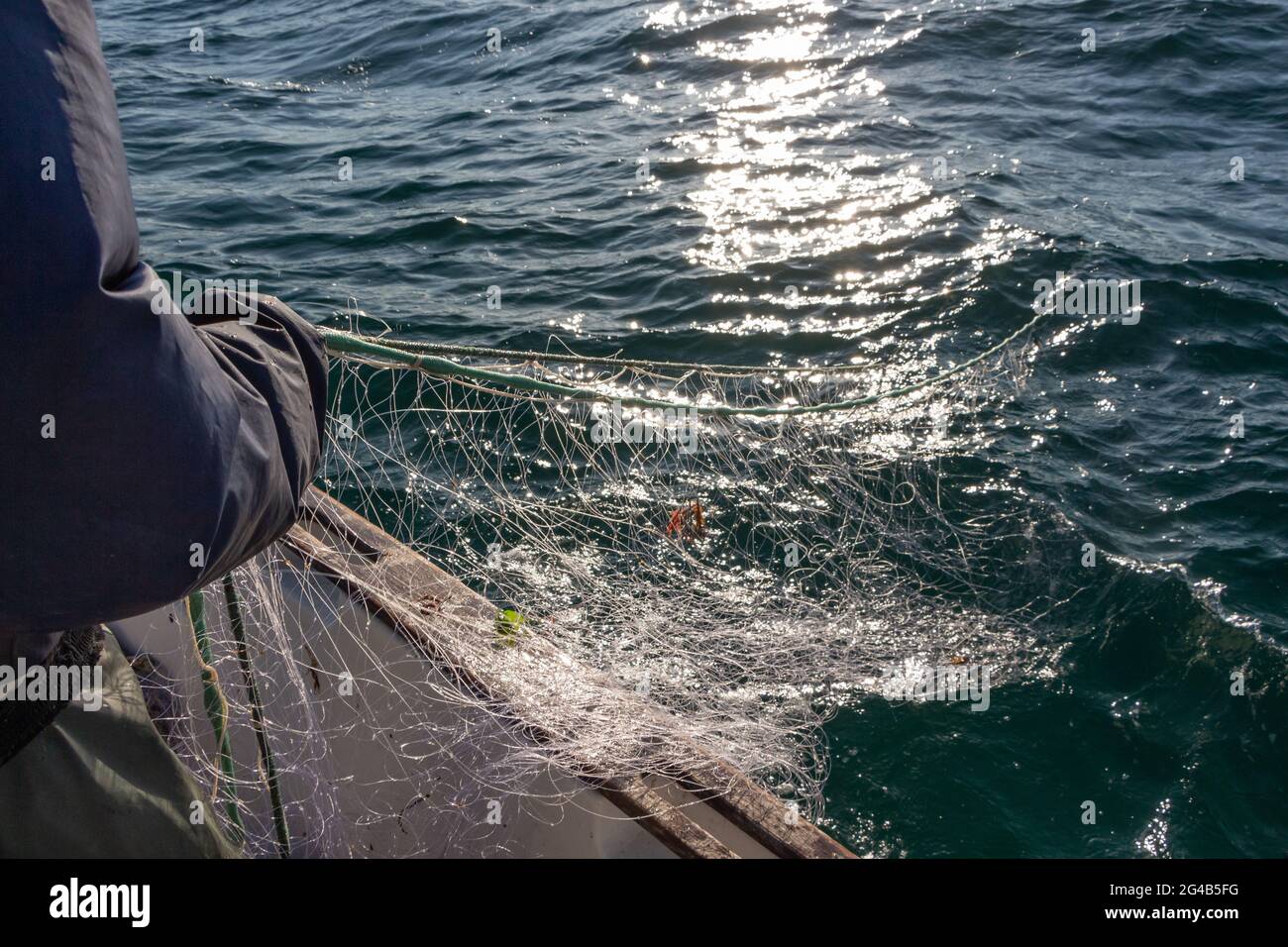 Fisherman bringing back net in a boat in Brittany Stock Photo - Alamy