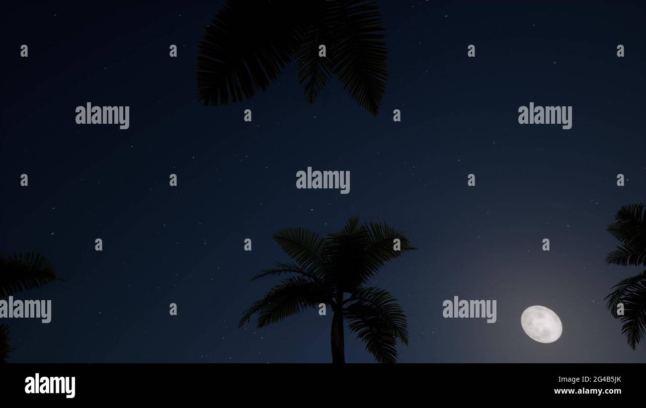 Night palm trees Moon Landscape island Vacation travel Tropical Nature ...
