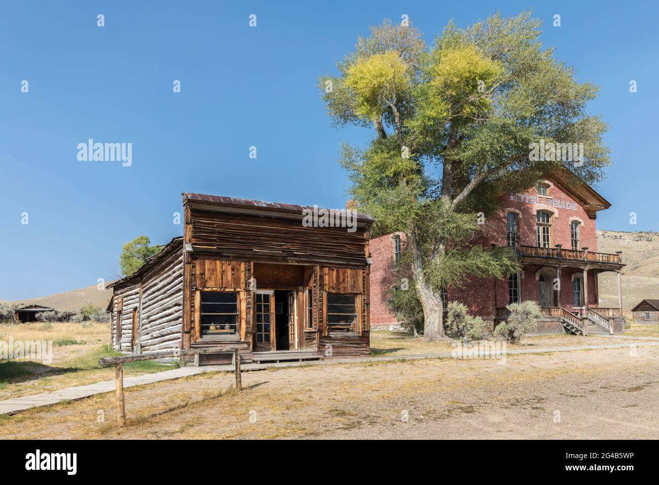 Montana tree hi-res stock photography and images - Alamy