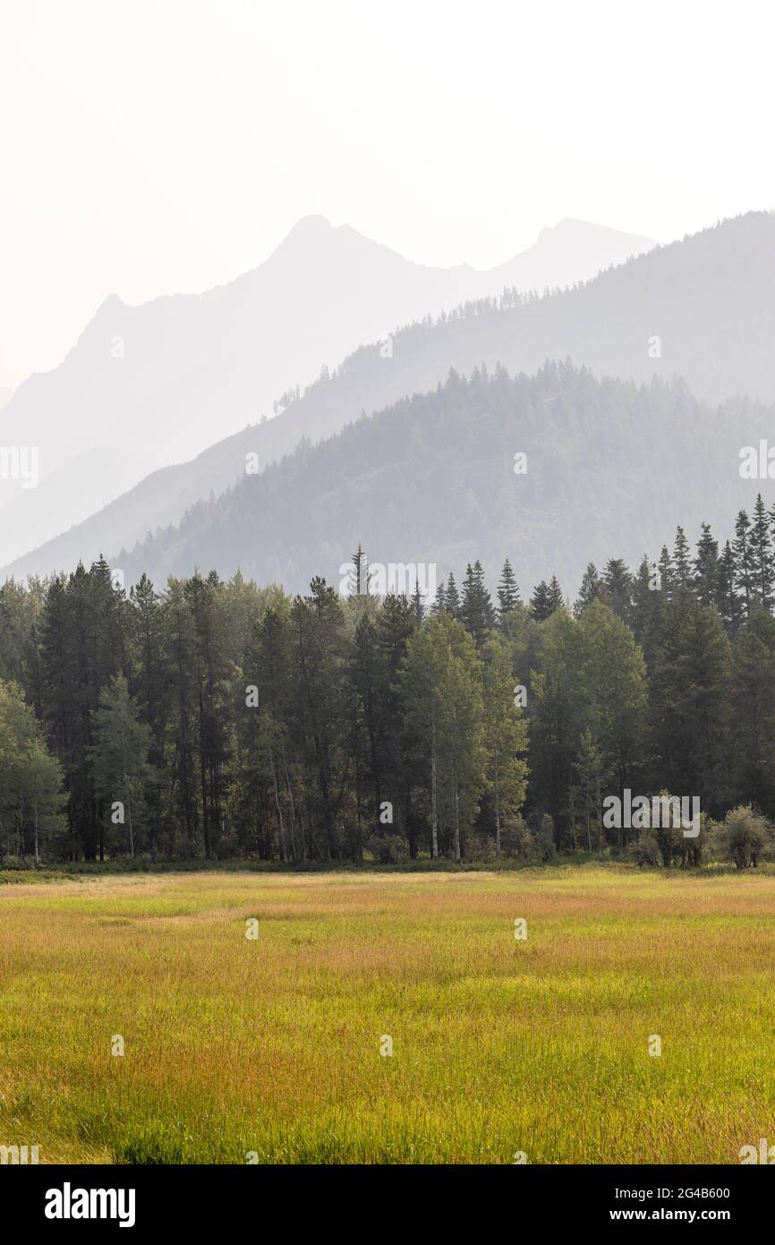 Cabinet Mountains, Kootenai National Forest, Montana, USA Stock Photo ...
