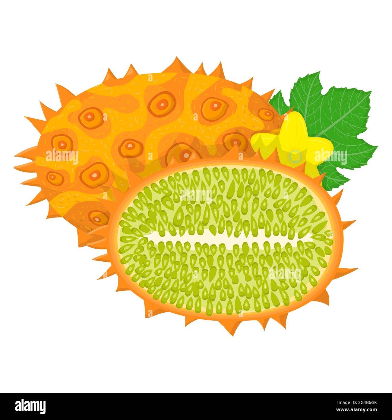 Fresh whole and half cut yellow kiwano fruit isolated on white ...