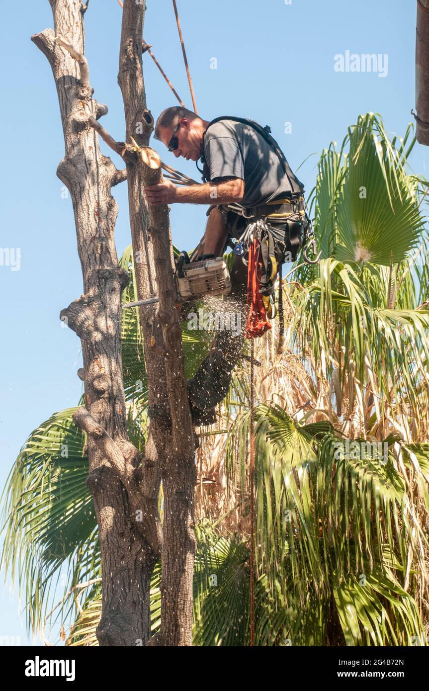 Cut in sections hi-res stock photography and images - Alamy