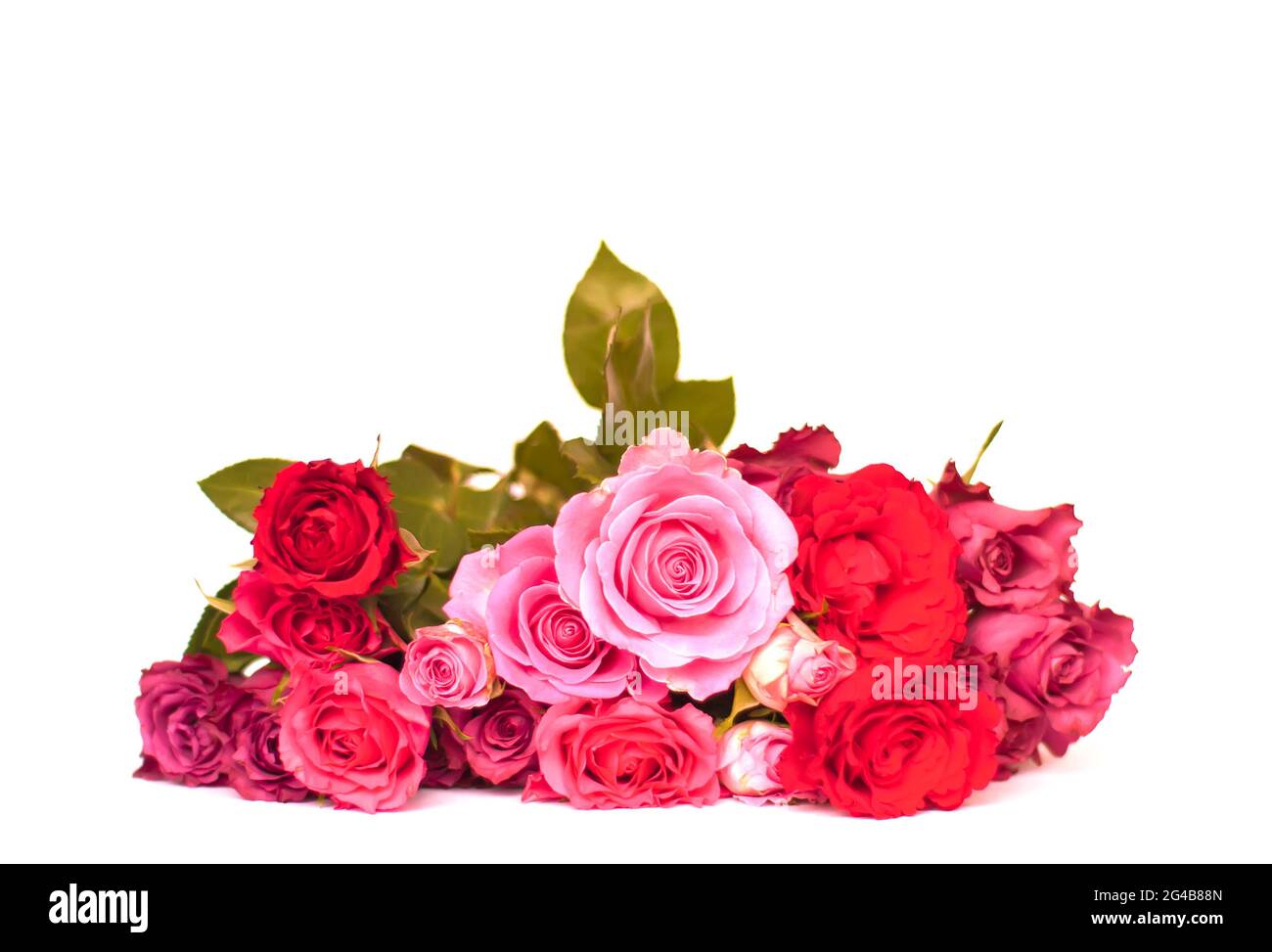 Spring floral background. Bunch of beautiful pink and red rose flowers ...