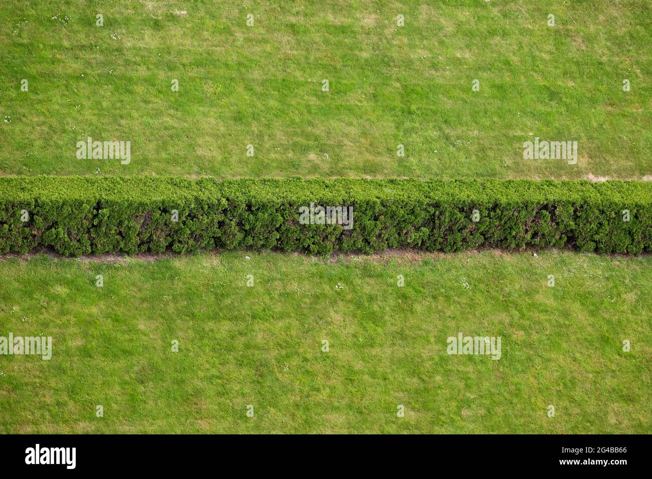 Half cut hedge hi-res stock photography and images - Alamy