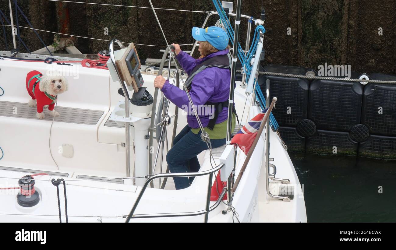 Shotley Gate, Suffolk - 20 June 2021: Small pet dog in a red overcoat ...