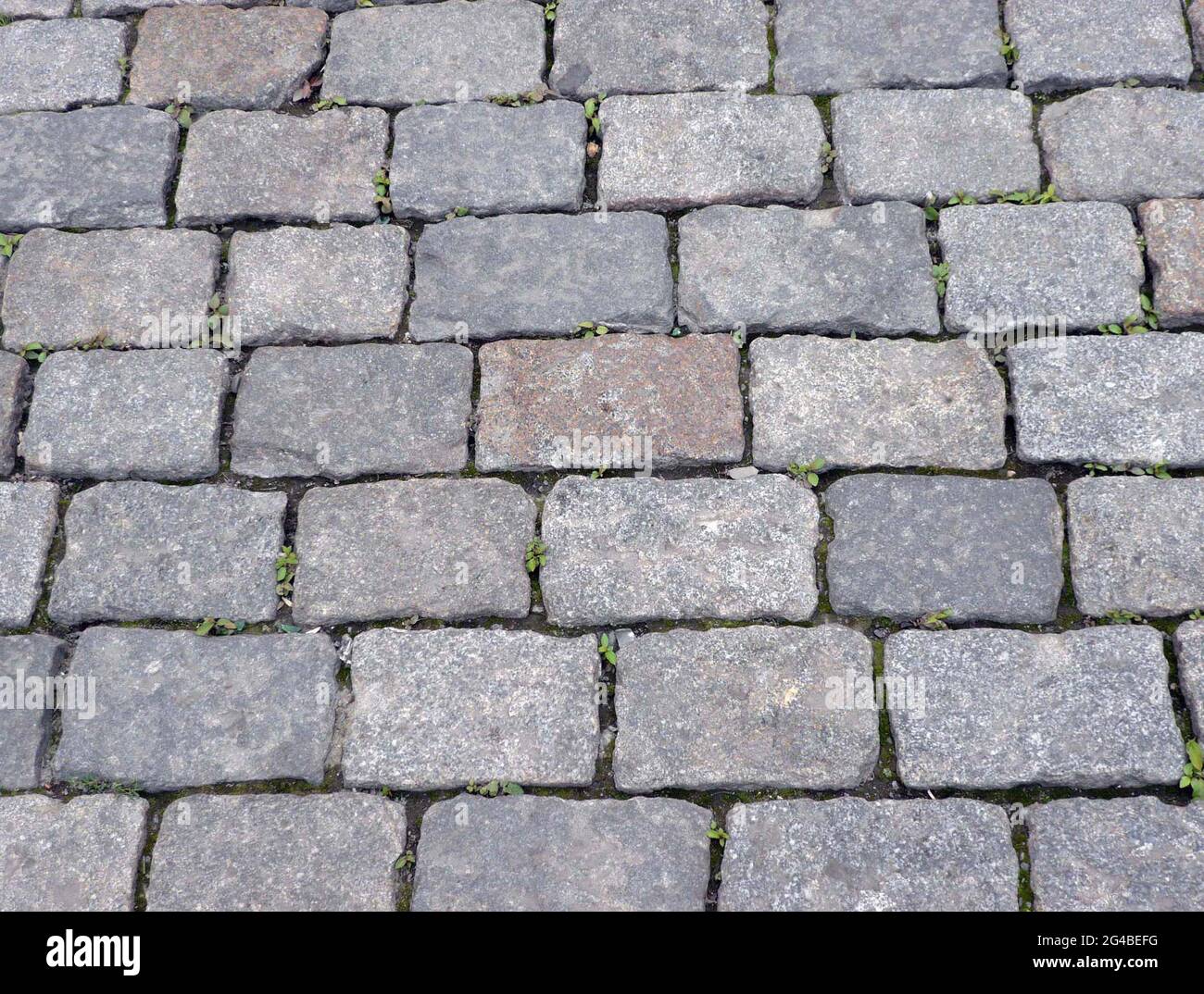 cobblestone area of red square in moscow Stock Photo - Alamy