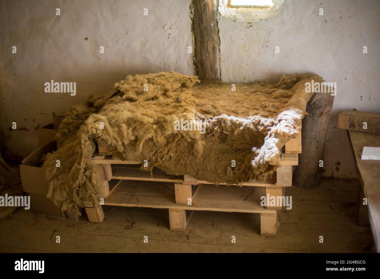 Celtic hut germany hi-res stock photography and images - Alamy