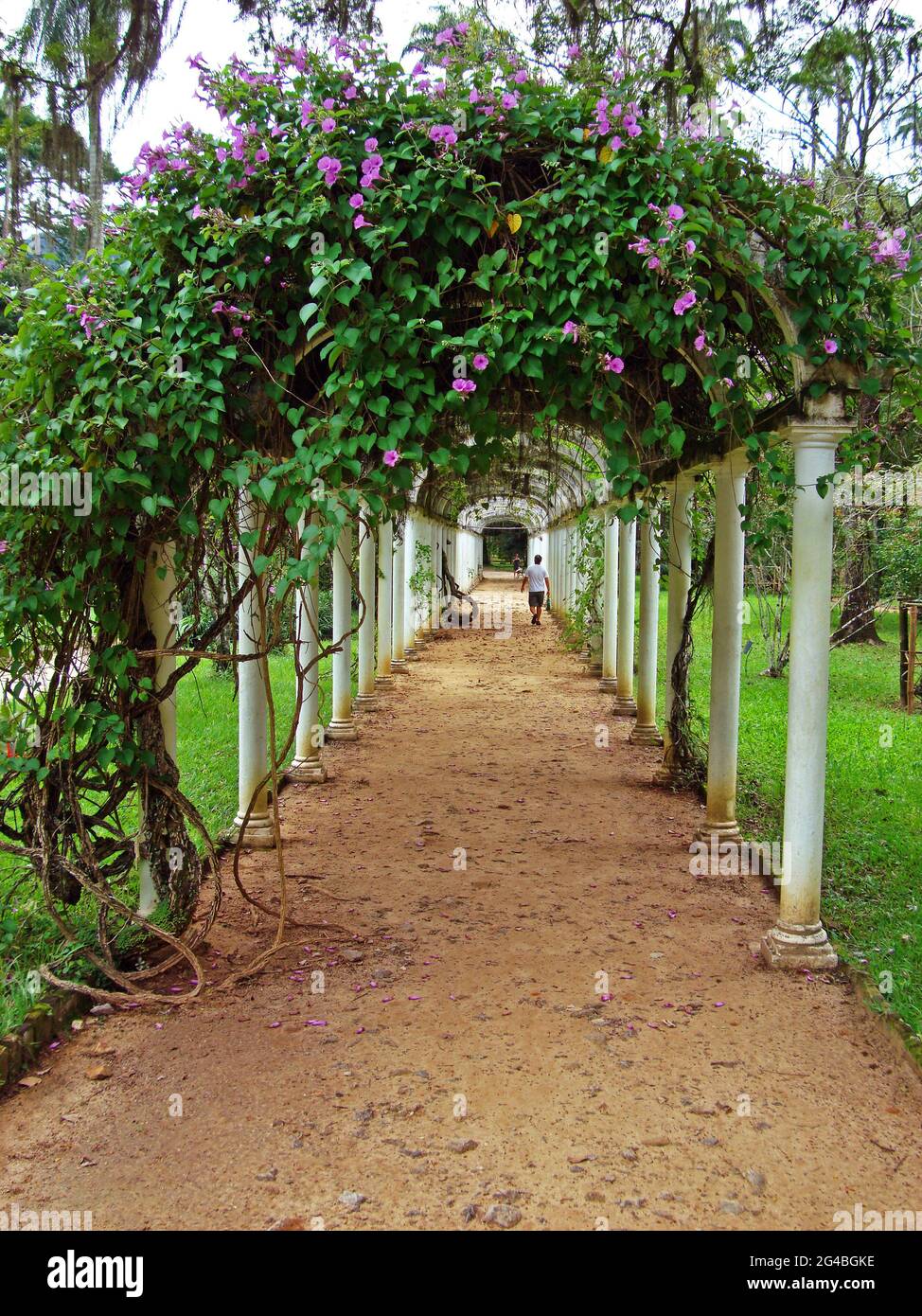 Arched pergola hi-res stock photography and images - Alamy