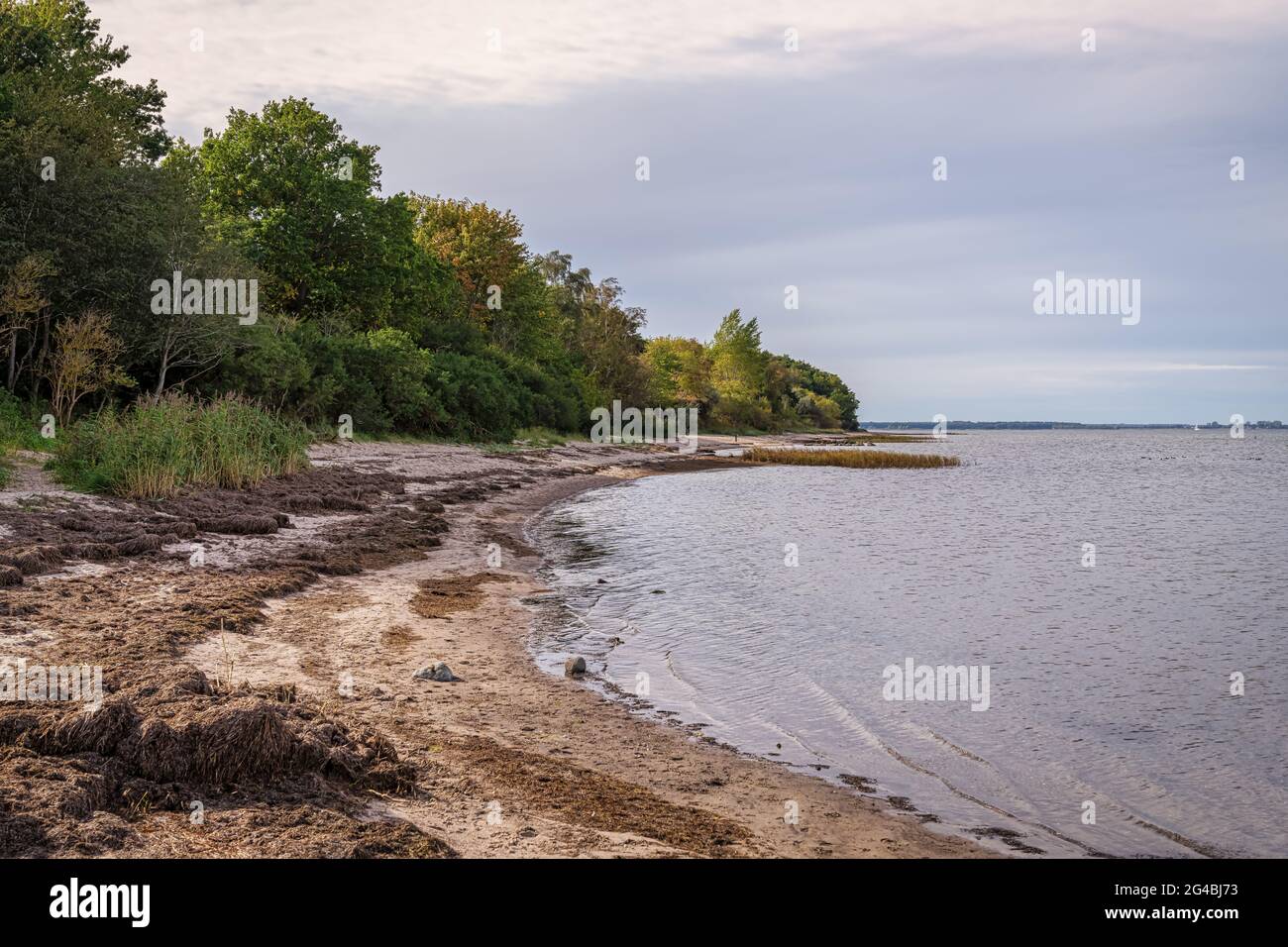 The Baltic Sea coast and beach in Loissin, Mecklenburg-Western ...