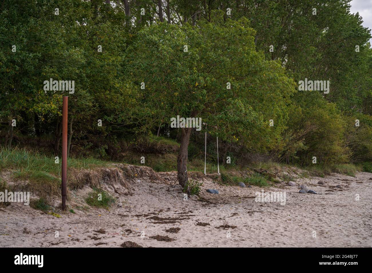 A tree swing on the beach in Lubmin, Mecklenburg-Western Pomerania ...
