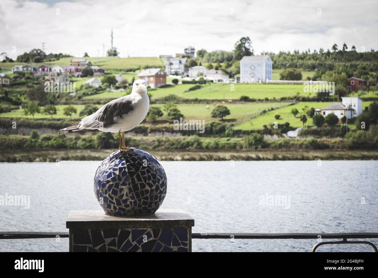 A seagull on a round sculpture on the bridge by the lake Stock Photo ...